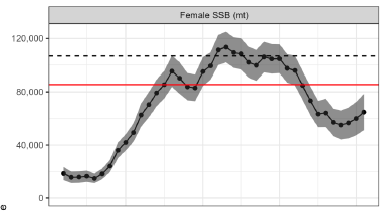 Striped Bass, The Stock Assessment, and What You Need to Know ...
