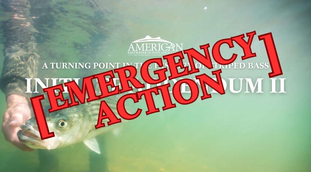 ASMFC Spring 2023 Meeting Recap: Historic Action on Striped Bass (Part ...