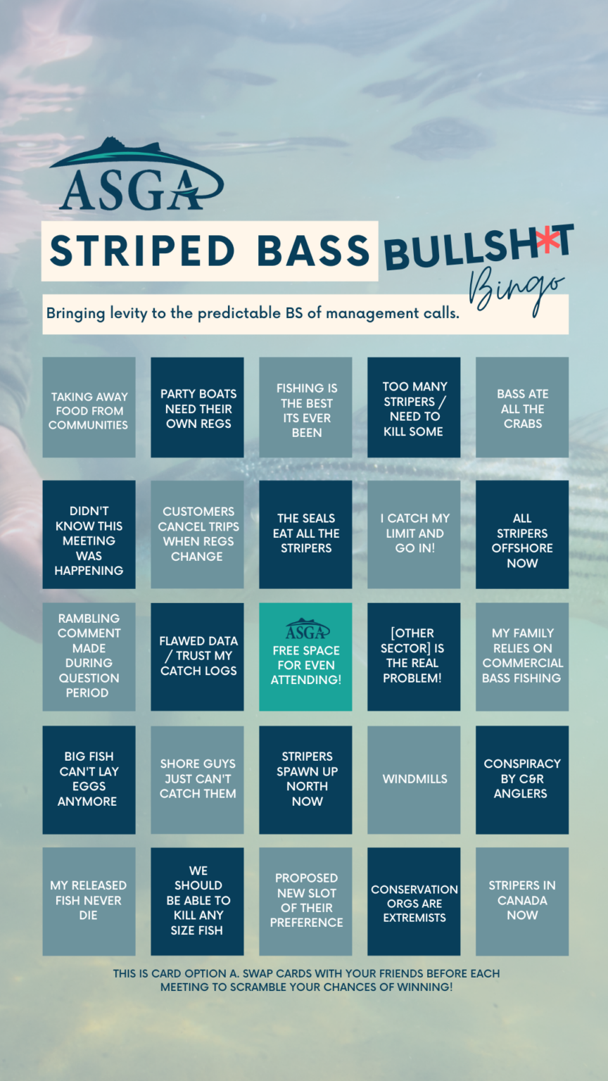 Striped Bass BS Bingo - Play Along! - American Saltwater Guides Association