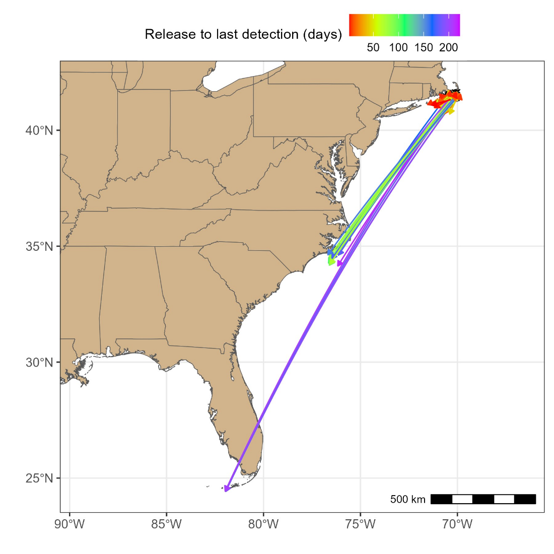 Coastal Journey of False Albacore - Research Update - American ...