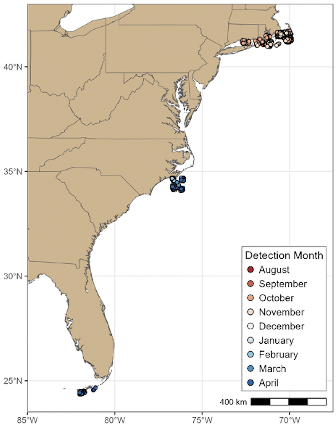 Coastal Journey of False Albacore - Research Update - American ...