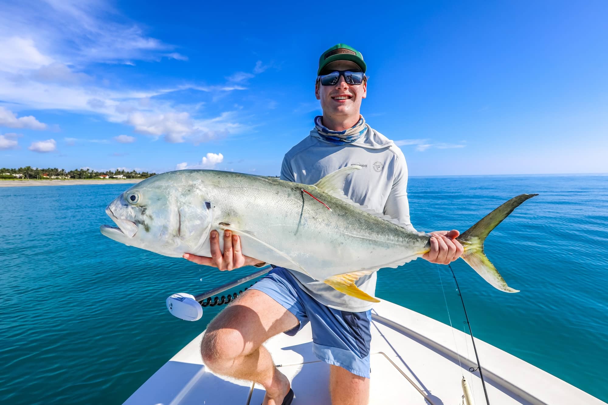 Understanding Migratory Jack Crevalle - American Saltwater Guides ...