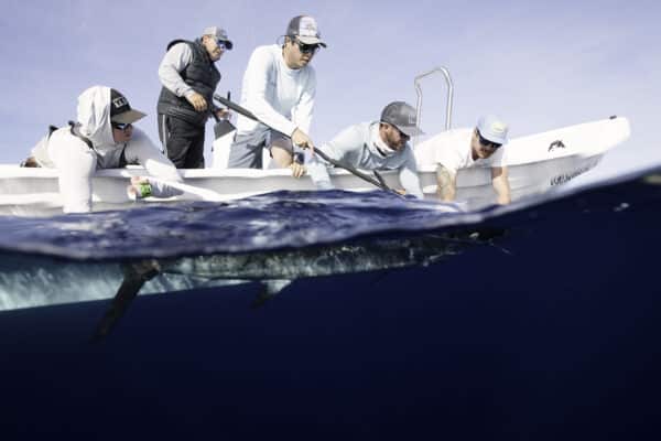 The Science of Fish Tagging: A Guide to Tracking Fish Movements ...