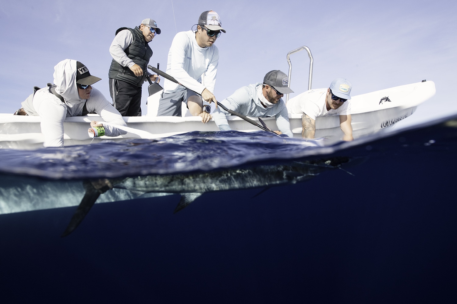 The Science of Fish Tagging: A Guide to Tracking Fish Movements ...