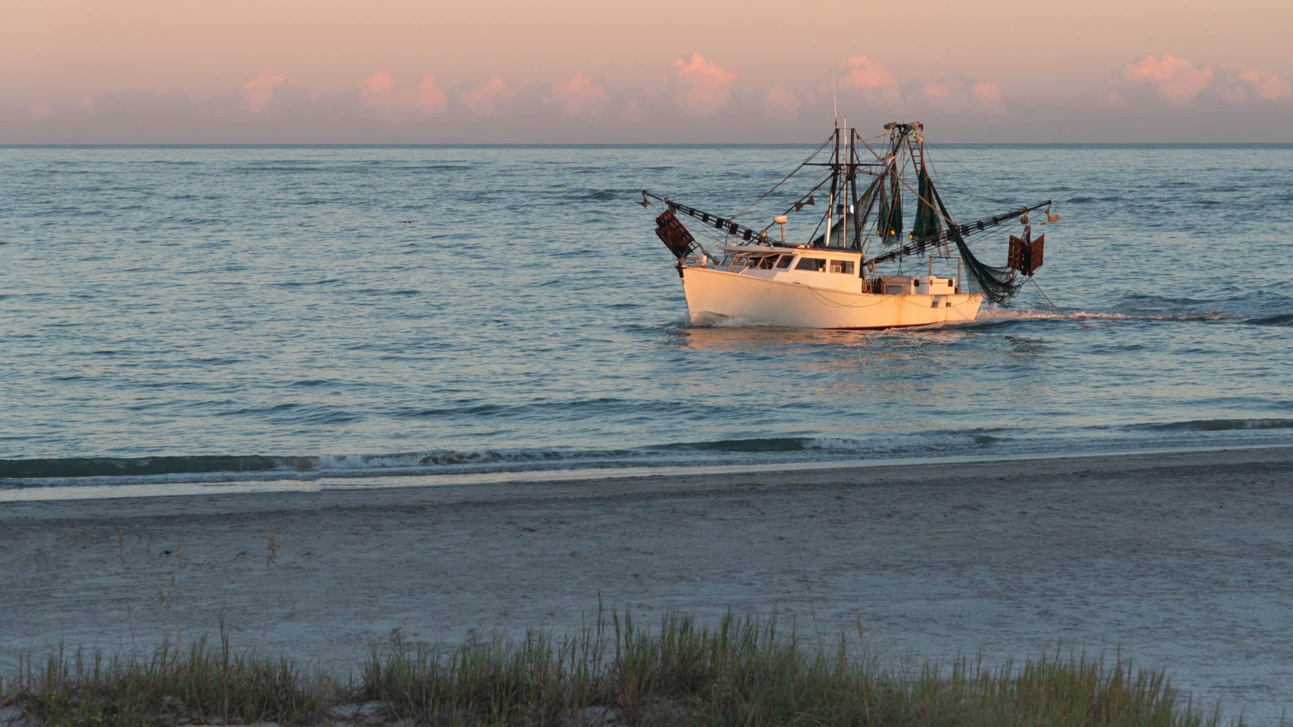 Shrimp Trawling Bycatch